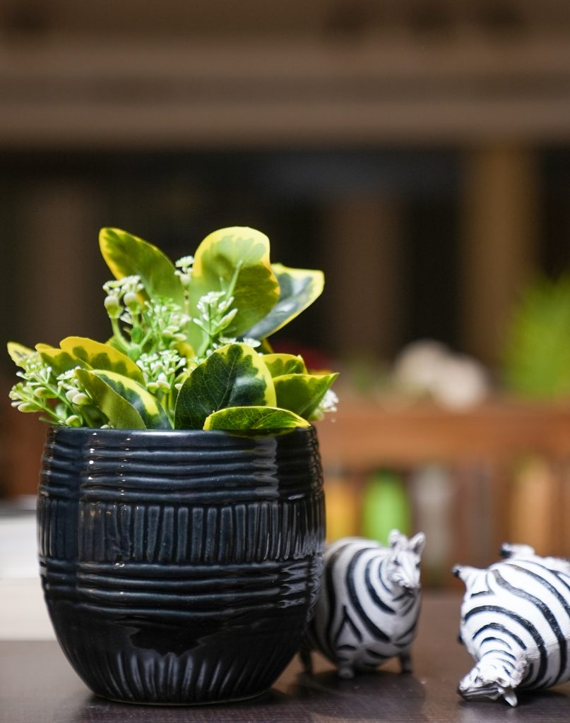 Black Curved Designer Ceramic Pot – Eldzyn